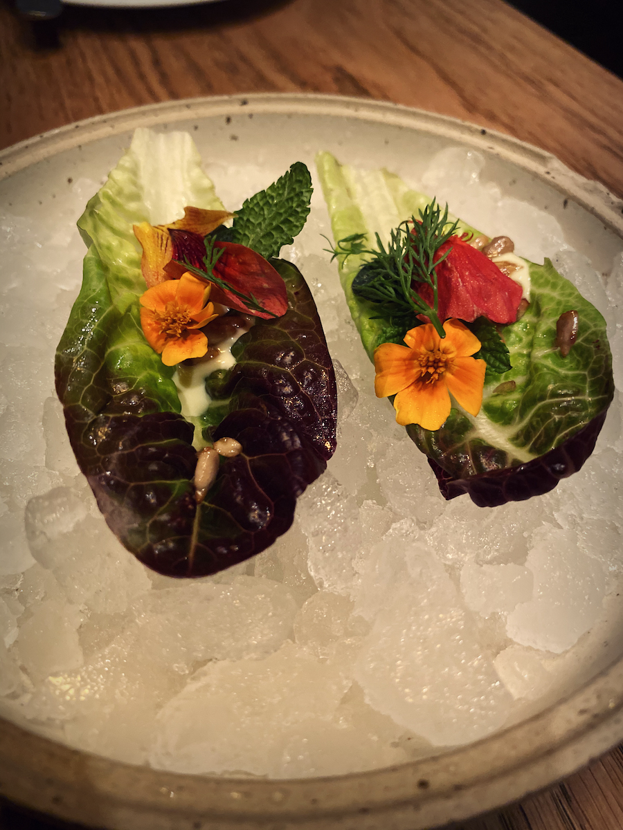 Review: Hide Above | No Small Plans